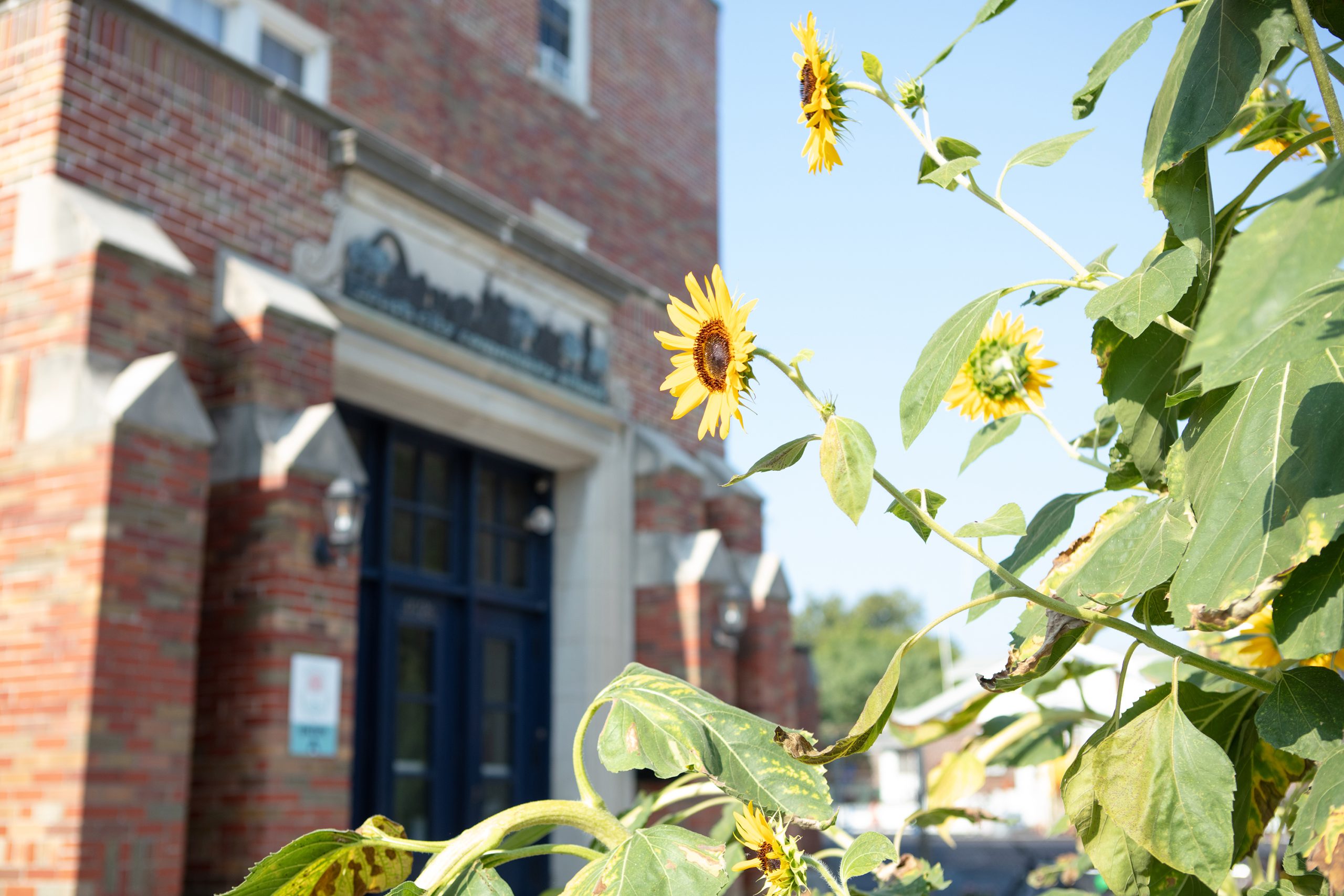 School in St. Louis, MO - South City Community School